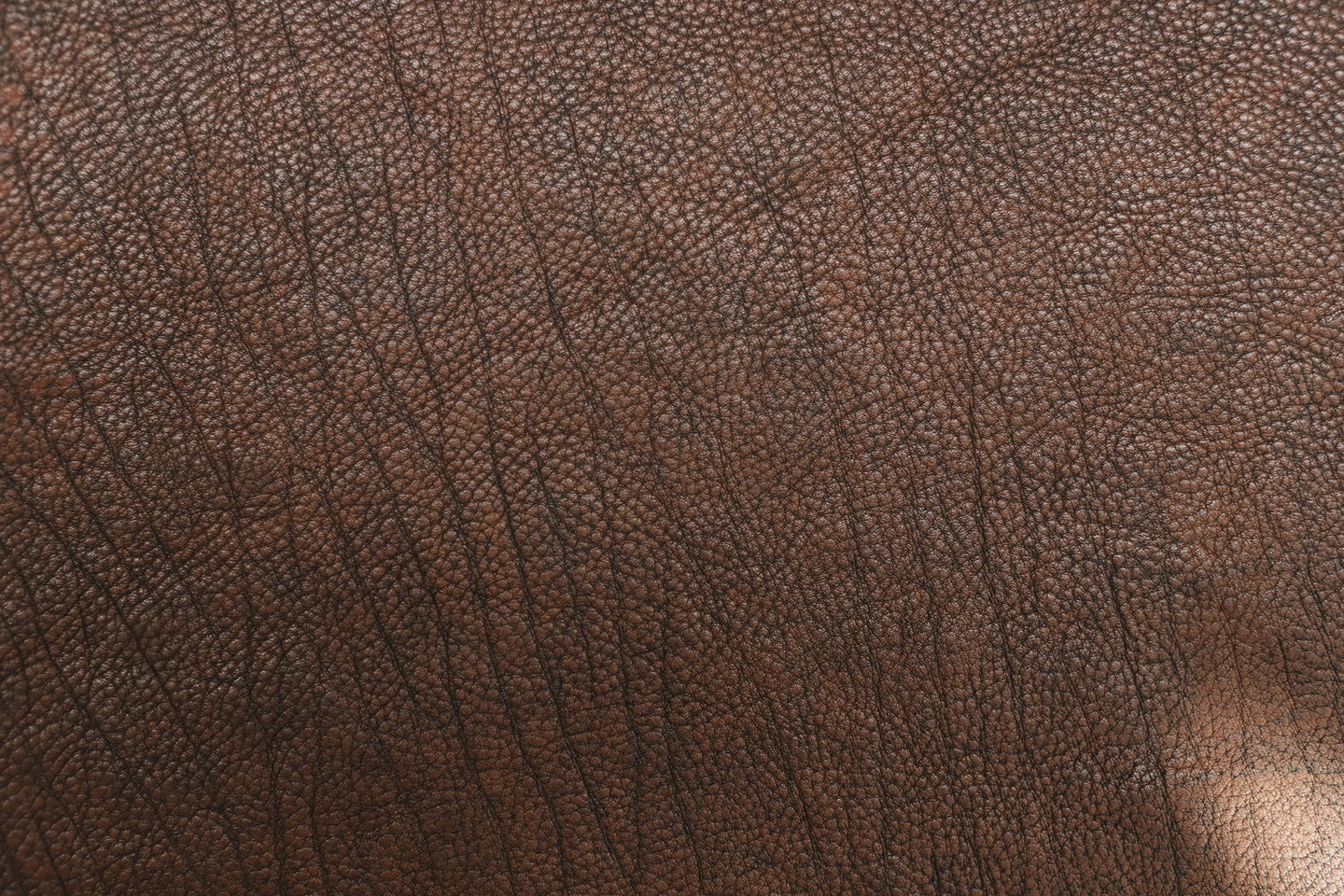 Libra Leather Inc.